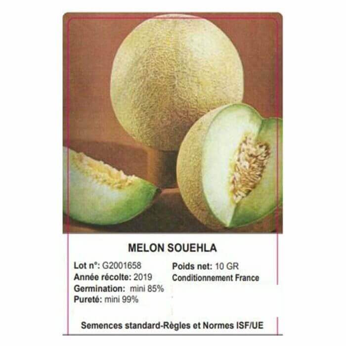 Sachet Melon Souihla 10 Grammes ‣ Mr Bricolage